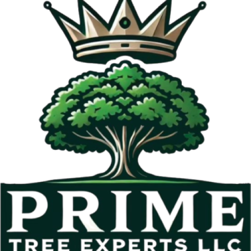 Contact | Prime Tree Experts