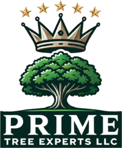 Prime Tree Services – Tree Removal in South Carolina